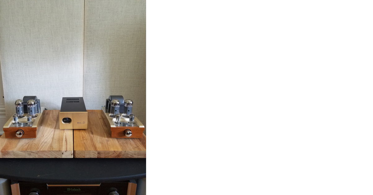 Dared Audio VP-20 Tube Monoblocks For Sale | Audiogon