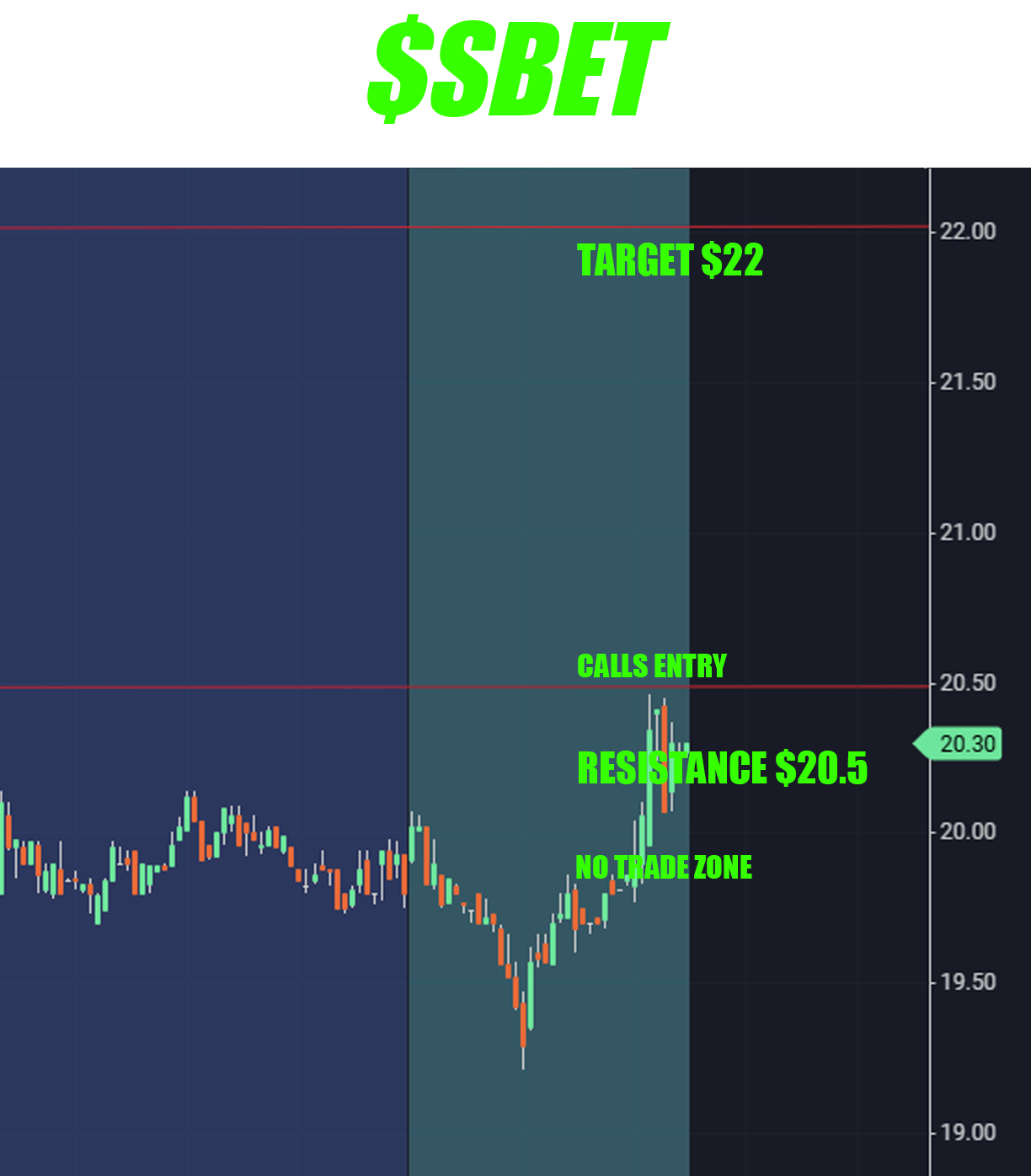 levi-amc-mstr-riot-sbet-spy - THETRADEWAR LLC