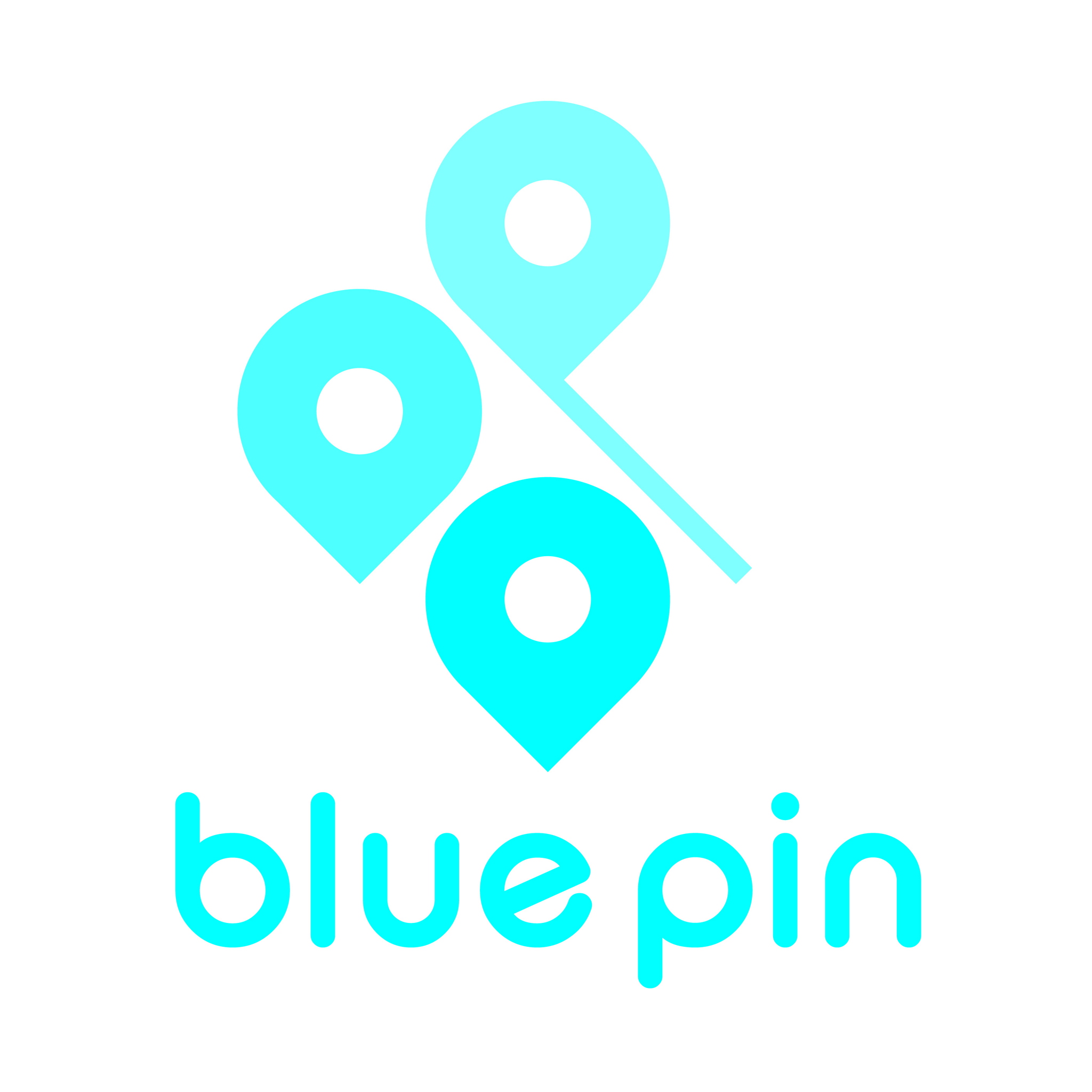 Blue Pin International Reviews & Product Details