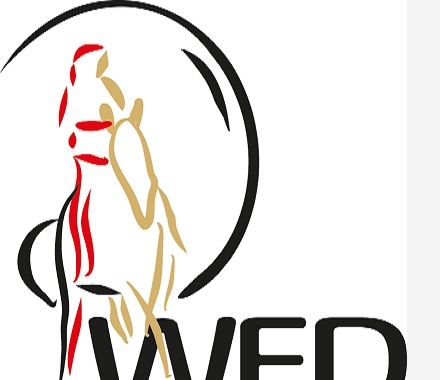 News • Working Equitation Deutschland e. V.