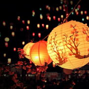 Урок 2-2 — Шаг 7 — Stepik