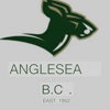 Anglesea Cricket Club | Cricketer Exchange