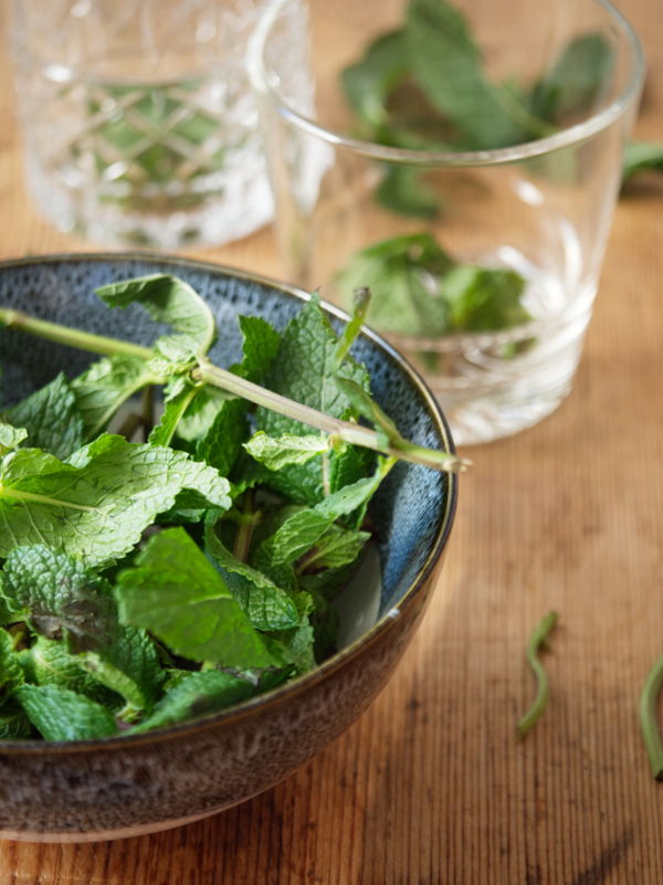 Lychee Soda - Southeast Asian Recipes - Nyonya Cooking