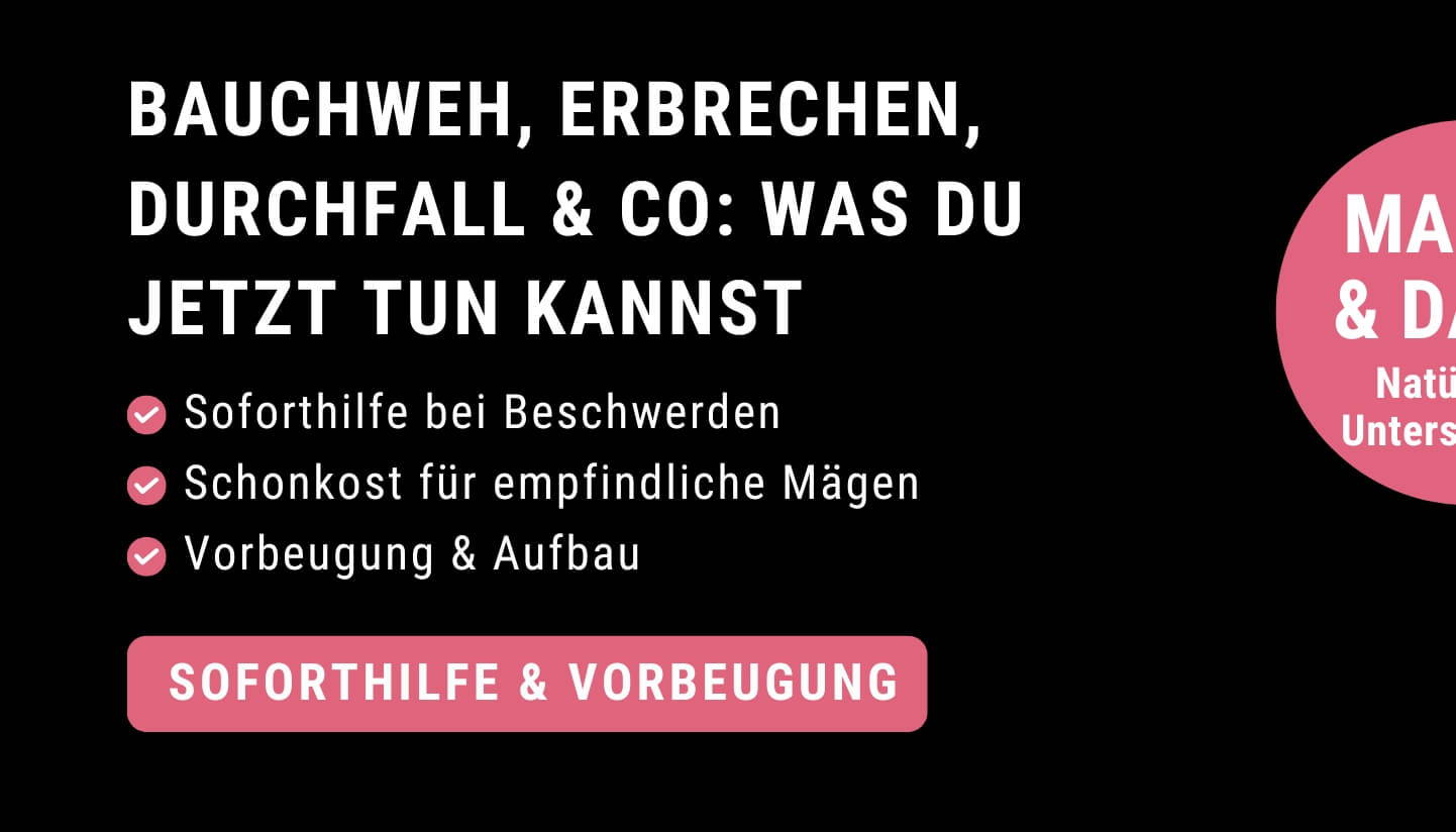 Durchfall und Erbrechen beim Hund - Magen-Magie-Box – Tales & Tails