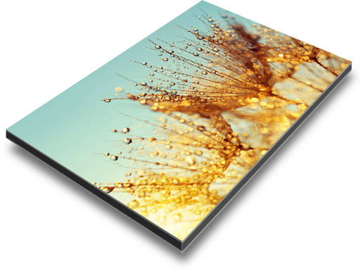 Aluminum Prints - Photo Prints on Aluminum - Printsgicleeshop