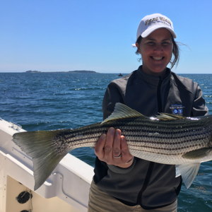 Guest Hub - Fish Portland Maine