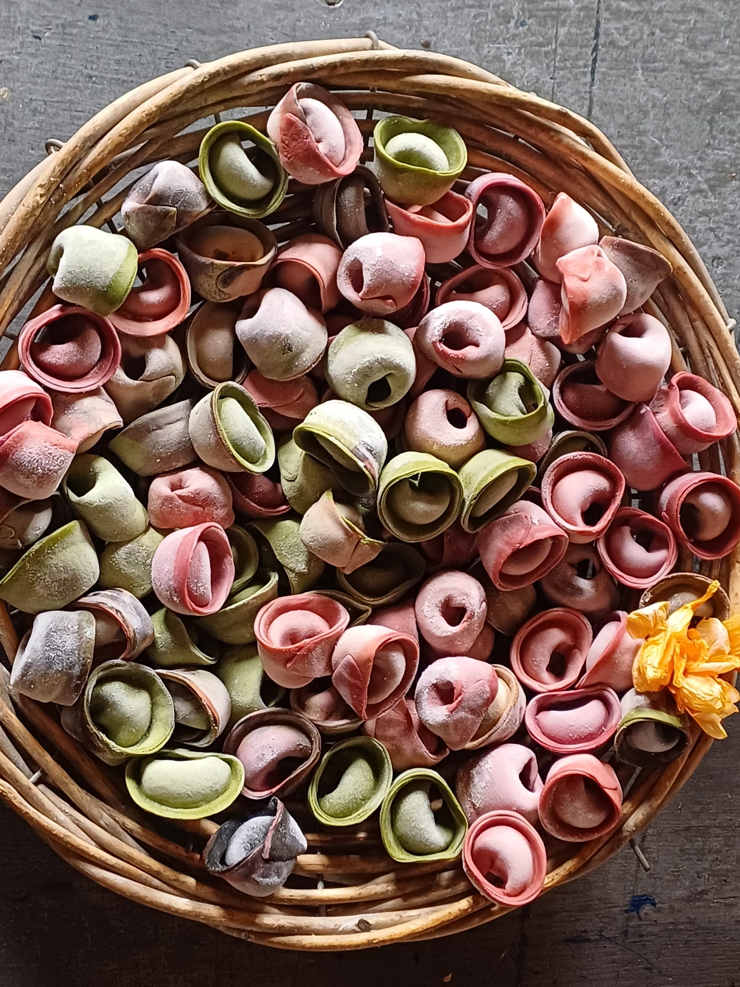 Taste of Venice: Fresh Pasta & Tiramis Class in a local home 2026 ...