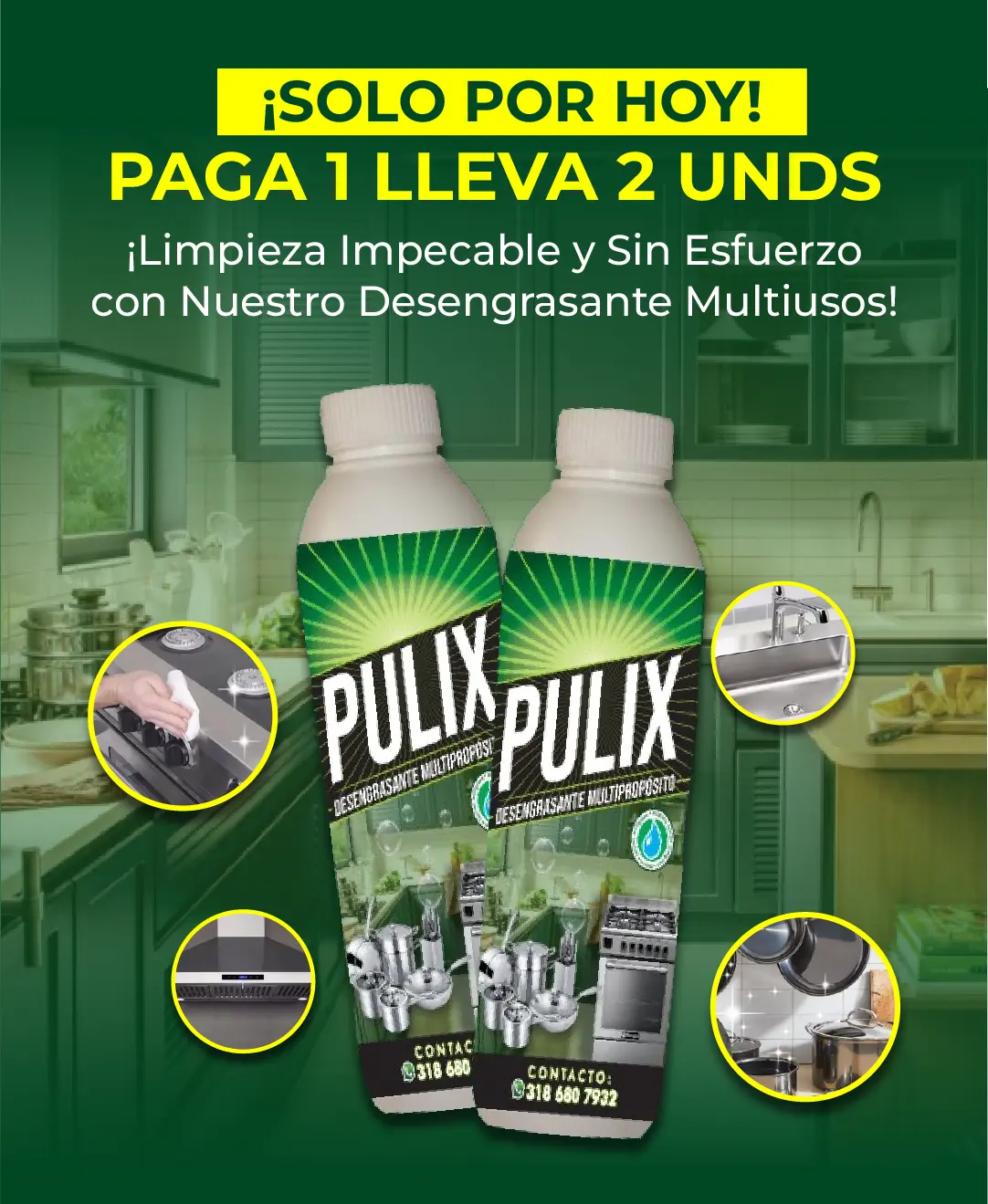 Promo 2x1 Pulix Desangrasante Multiusos – CASA CENTER