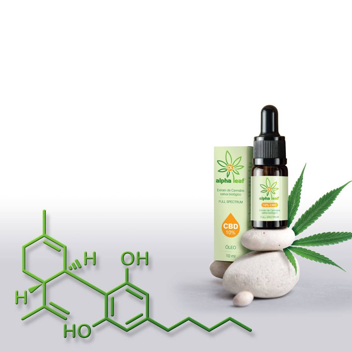 Guide to CBD – Alpha Leaf