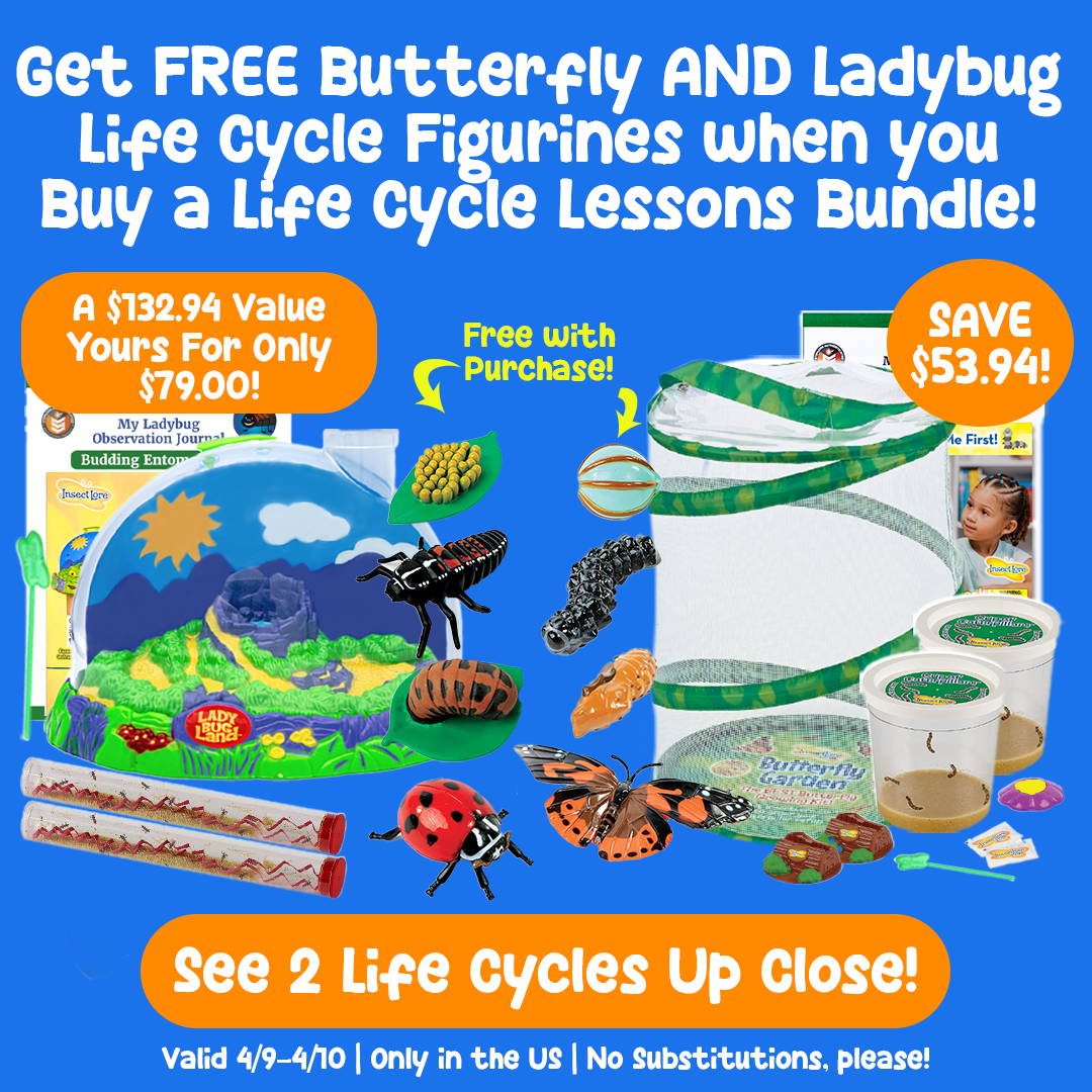 Insect Lore | The World's First Butterfly-By-Mail Company