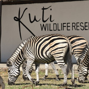Kuti Wildlife Reserve