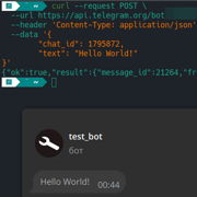 Введение в Bot API и aiogram — Шаг 3 — Stepik