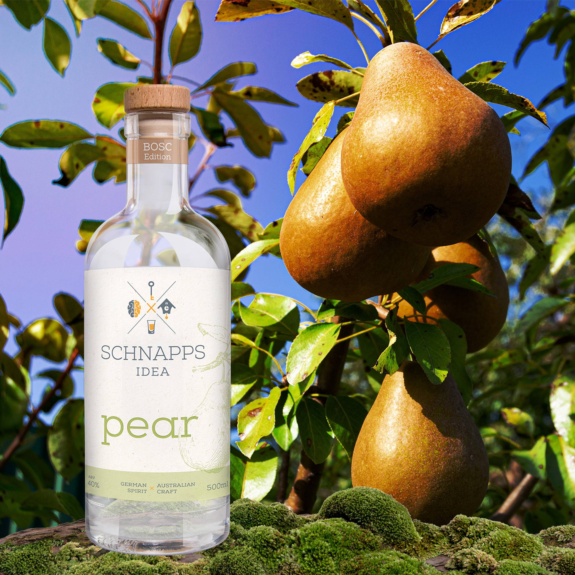 Schnapps Idea Distillery