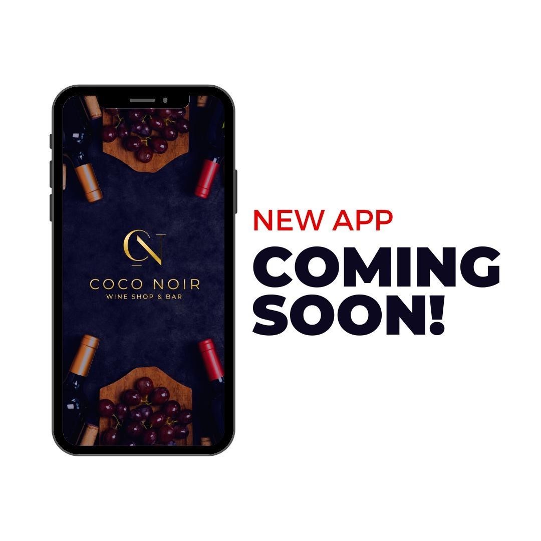 CoCo Noir Wine Shop & Bar Updates, Team, and Funding Progress ...