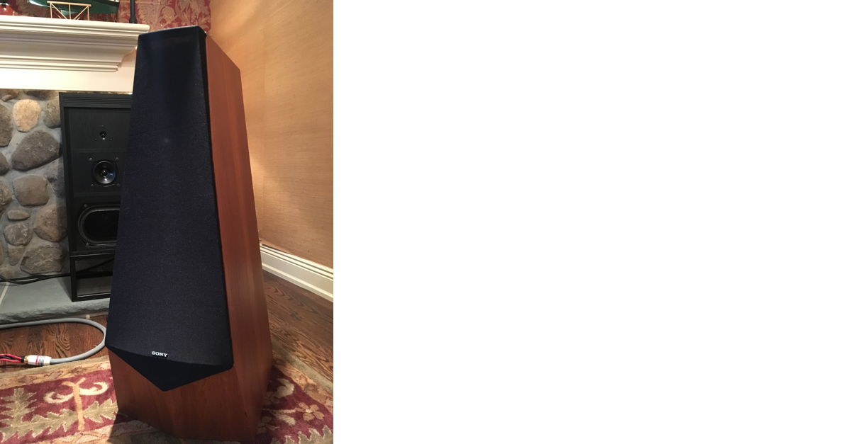 Sony SS-M9 Rare and Collectible For Sale | Audiogon