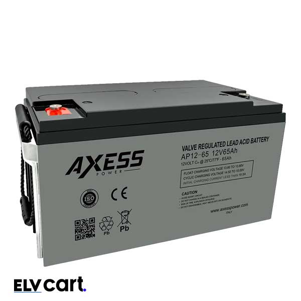 Axess Power Advanced SMF / VRLA Battery - ELV Cart