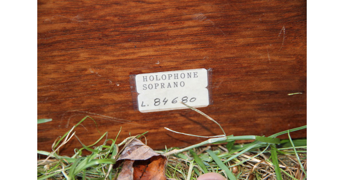 European Holophone Systems Soprano For Sale | Audiogon