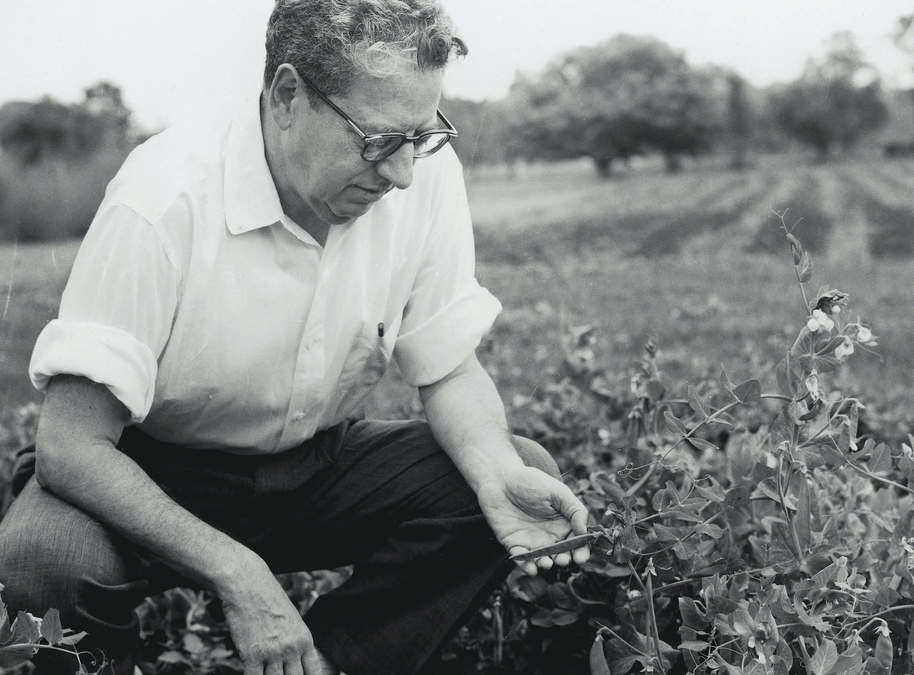 Rodale Institute Giveaway Details - Davines