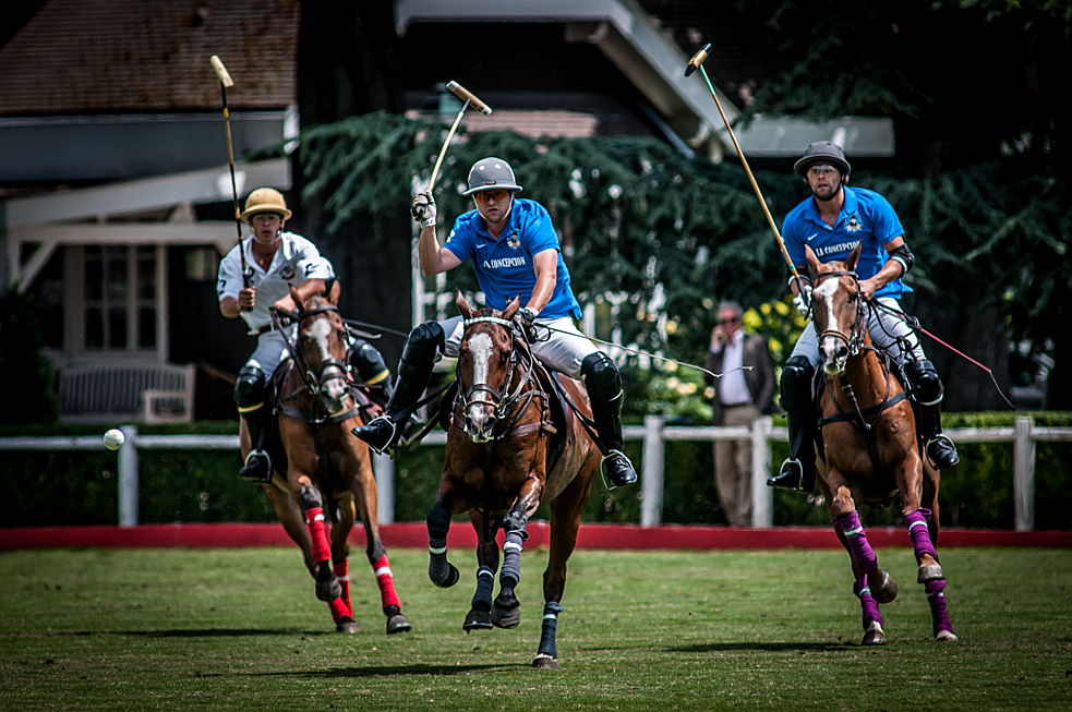 L’histoire du Polo en France