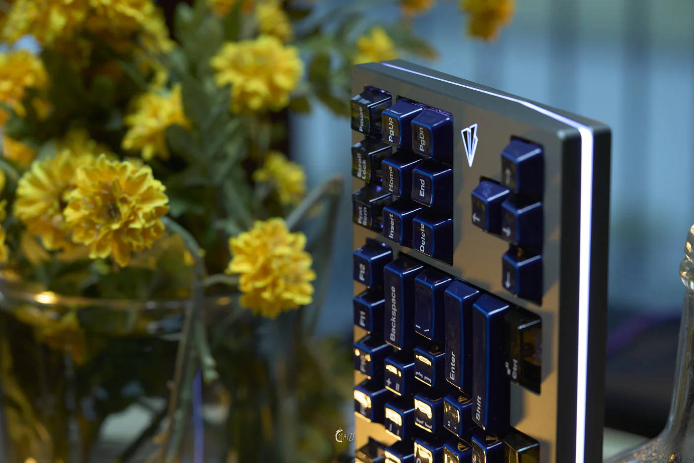 Paper80 x Whatever Studio – Wuque Studio