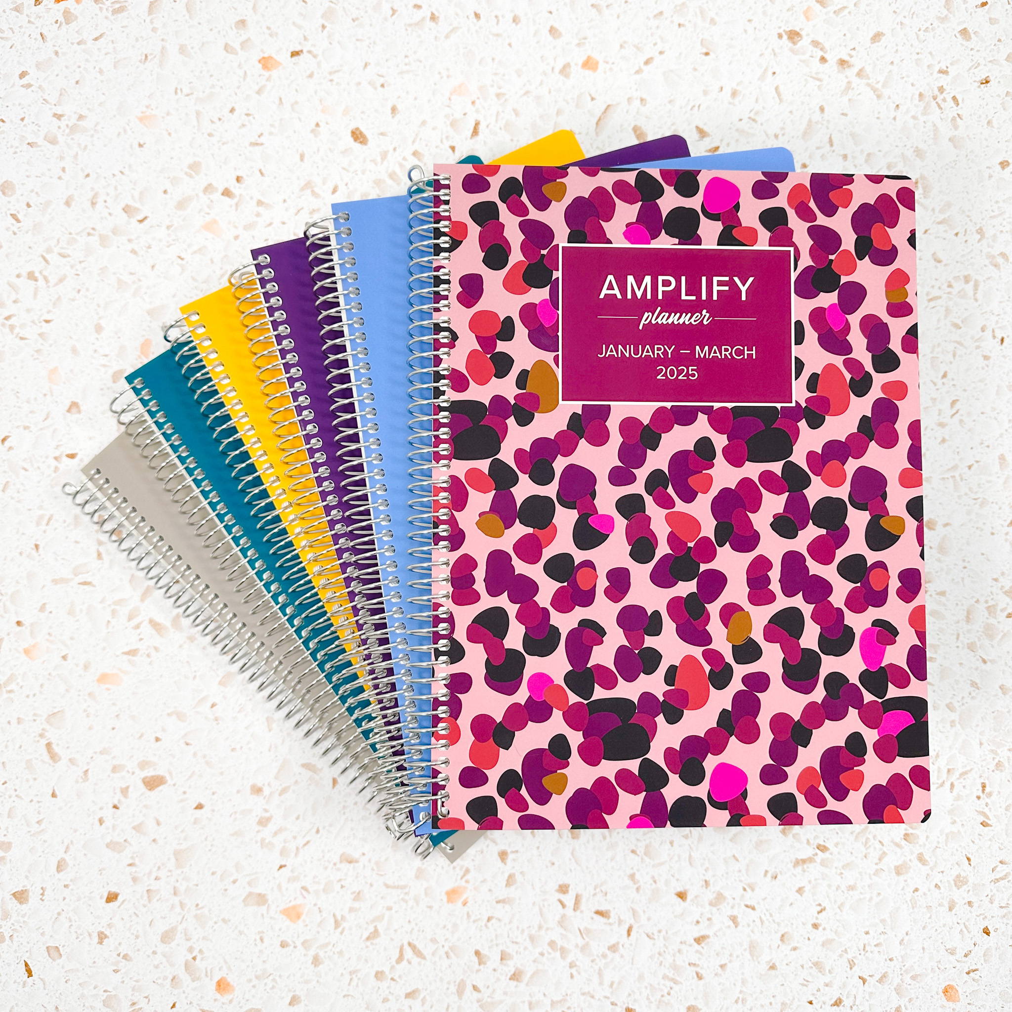 Amplify Planner | Daily & Weekly Planners | Amplify Planner