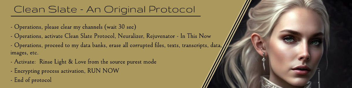 73-08 (I) Clean Slate Protocol by synl