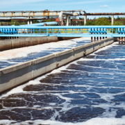 Introduction — Шаг 1 — Stepik