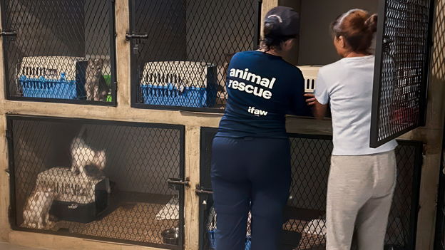 BREAKING NEWS: We’ve deployed to evacuate and protect animals in ...