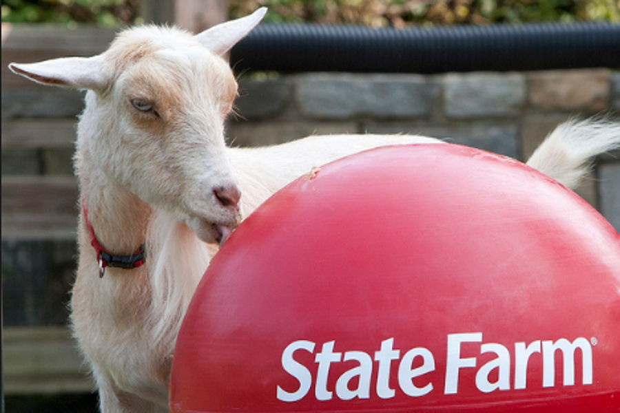 State Farm is (almost) 'there' as it moves 15,000 SEP accounts to ...