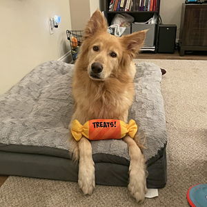 Maura McAndrew and Ryan Gordon's Wedding Registry on Zola