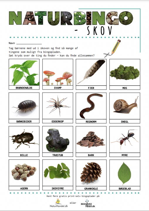 NaturBingo | Gratis Download | NaturHandel.dk | 6 Natur Bingo Plader