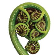 Операционные системы и контроль IO-bound задач, ч.2 — Шаг 1 — Stepik