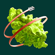 Советы и лайфхаки — Шаг 2 — Stepik