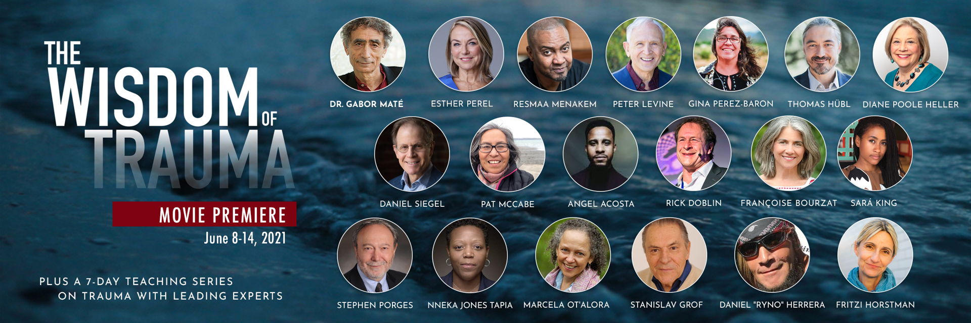 The Wisdom of Trauma - Expert Speaker Series