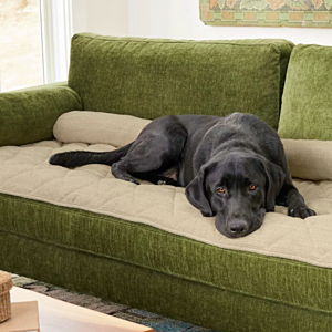 Kelly Nottingham and Bryson Holman's Wedding Registry on Zola