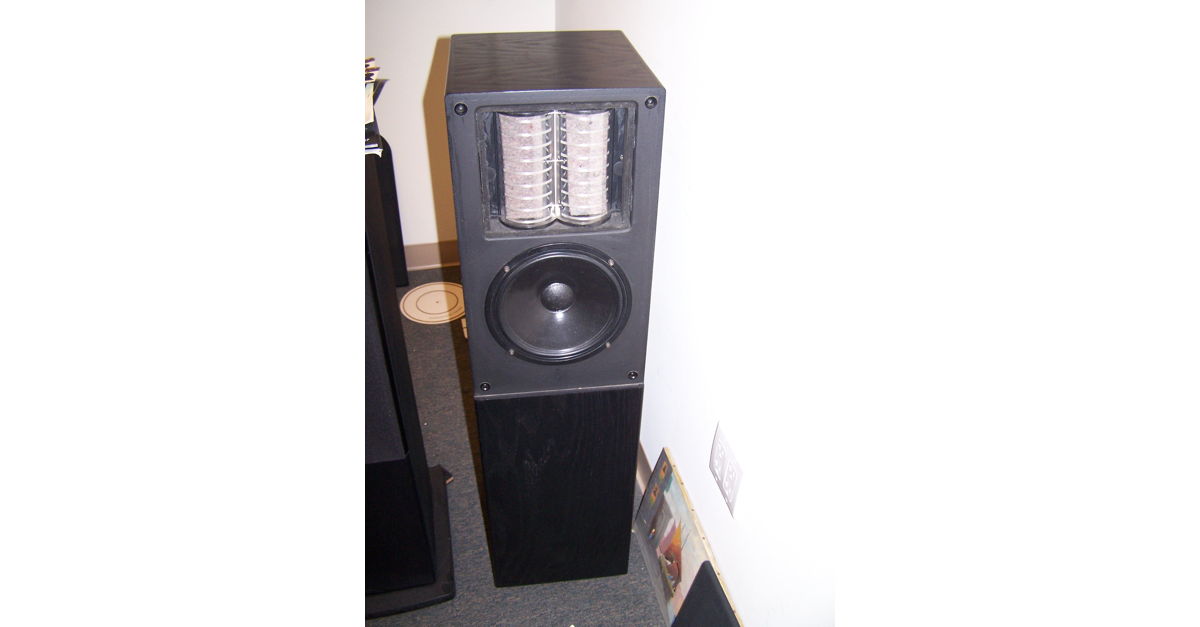 Linaeum Speakers LT-1000 Very Rare Find !! For Sale | Audiogon