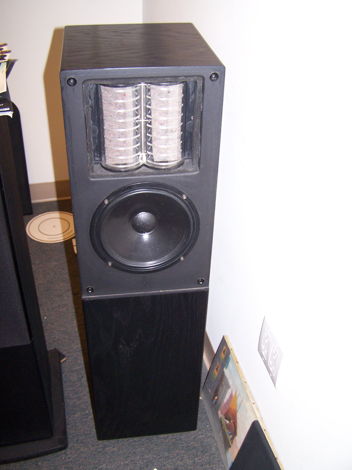 Linaeum Speakers LT-1000 Very Rare Find !! For Sale | Audiogon