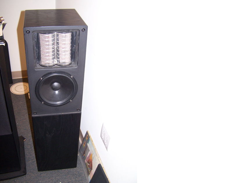 Linaeum Speakers LT-1000 Very Rare Find !! For Sale | Audiogon