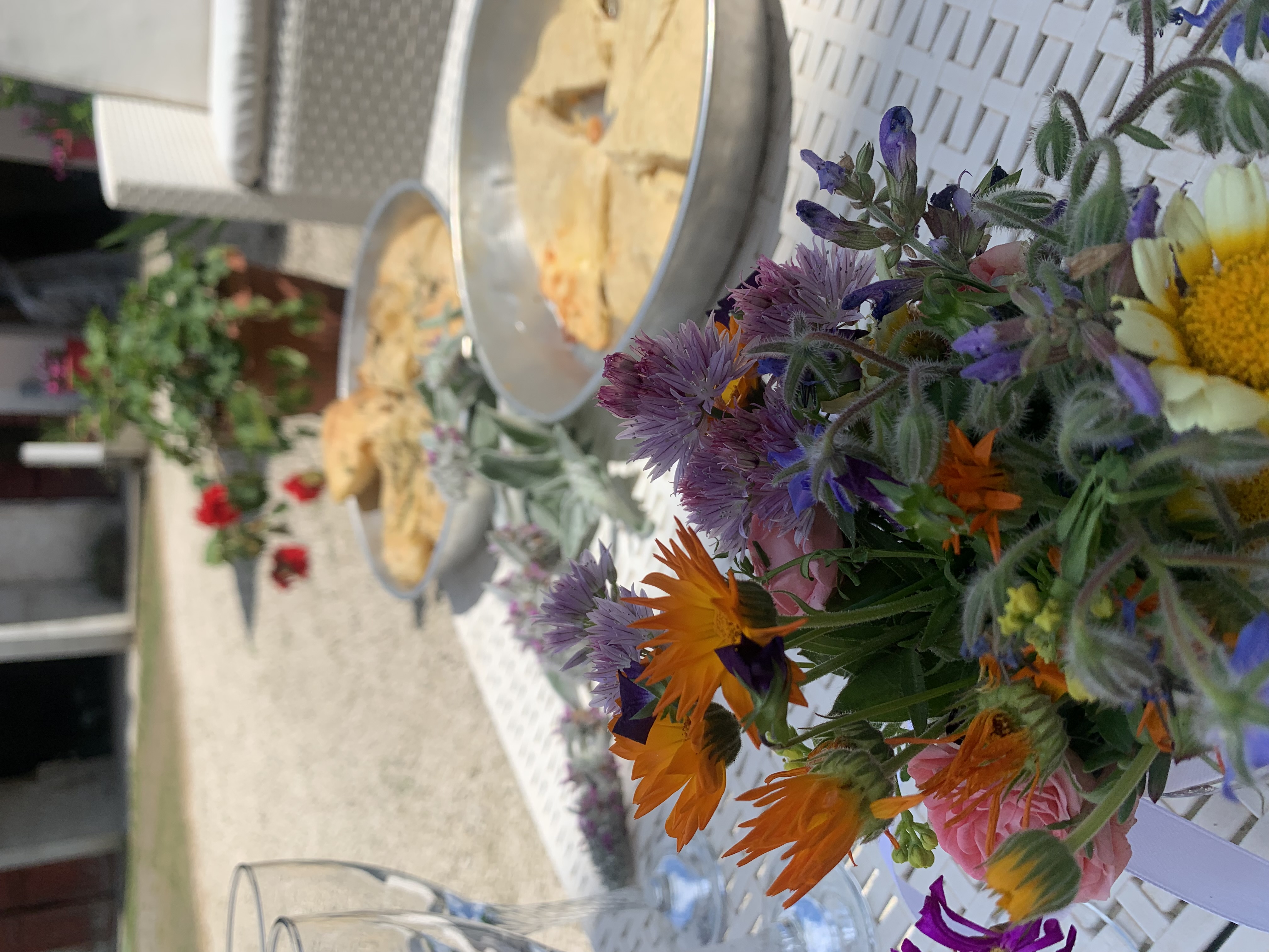 From Harvest to Table: The Magic of Cooking 2026 - Cremona Food & Wine ...