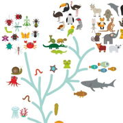 Эволюционные модели — Шаг 3 — Stepik