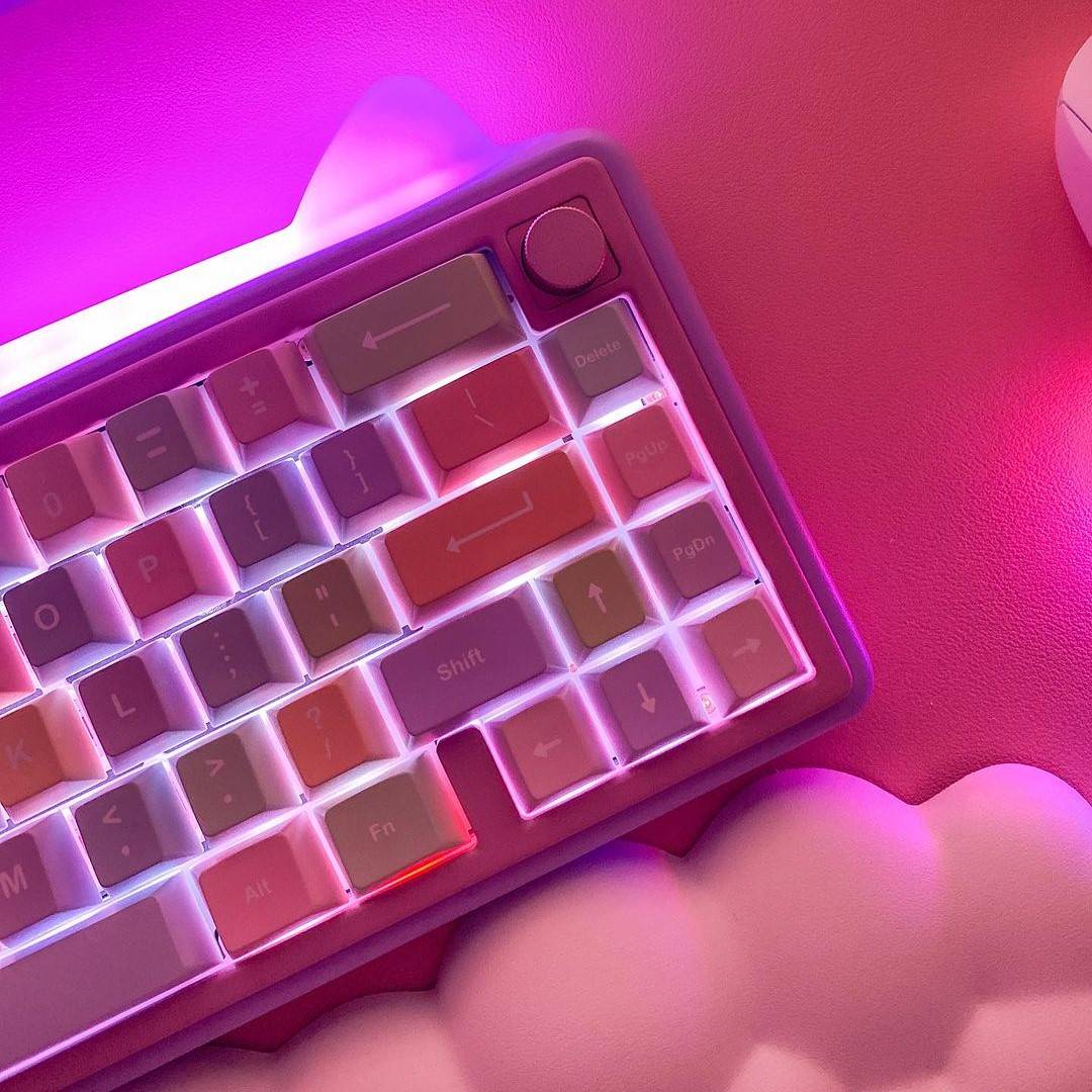 [In Stock] Paw 65 Barebone Edition – Chilkey