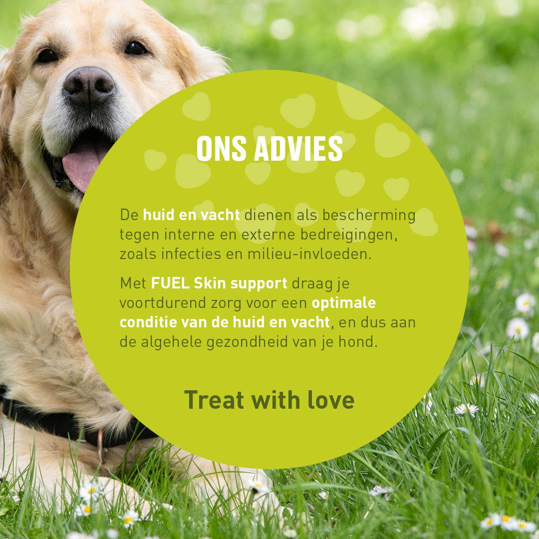Skin Support | Betere Vacht of Huid voor je Hond | Fuel