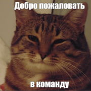 Приветствие — Шаг 3 — Stepik