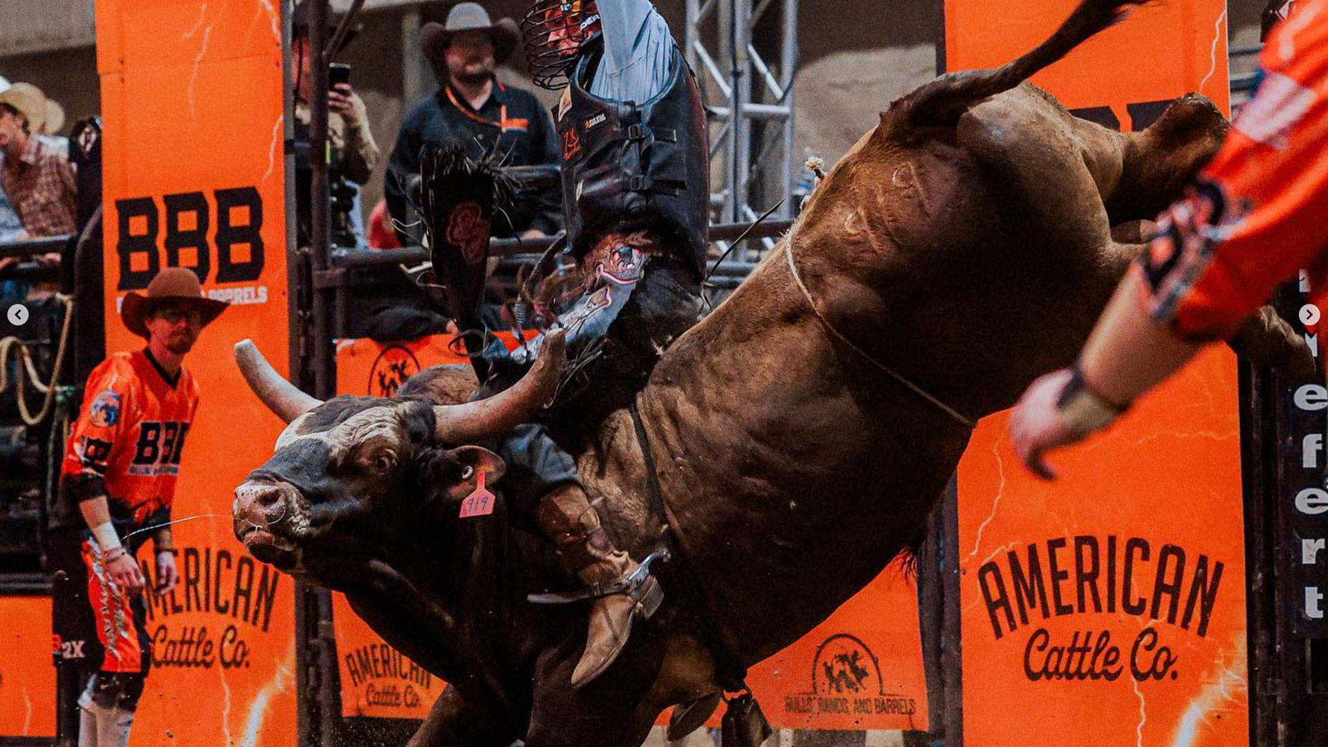 Bulls Bands and Barrels | American Cattle Co