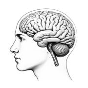 Лекция — Шаг 1 — Stepik