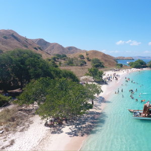 Guest Hub - Click Komodo