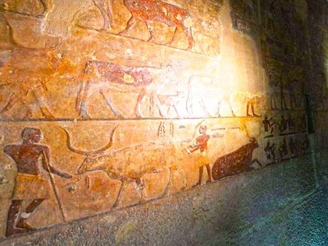 Guide to Edfu Temple, Egypt | Egypt Uncovered Travel