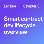 智能合约开发生命周期概述 (Smart contract dev lifecycle overview) — Шаг 6 — Stepik