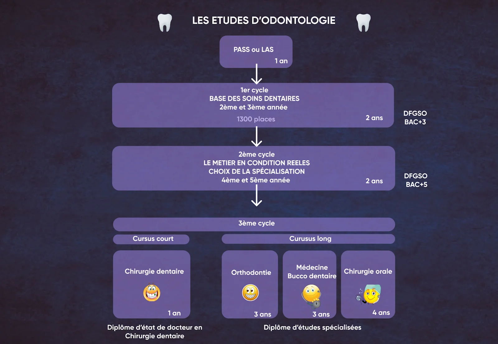 🦷 Devenir dentiste en France en 2024 : ce qu'il faut savoir 🦷 Devenir dentiste en France en 2024 : ce qu'il faut savoir