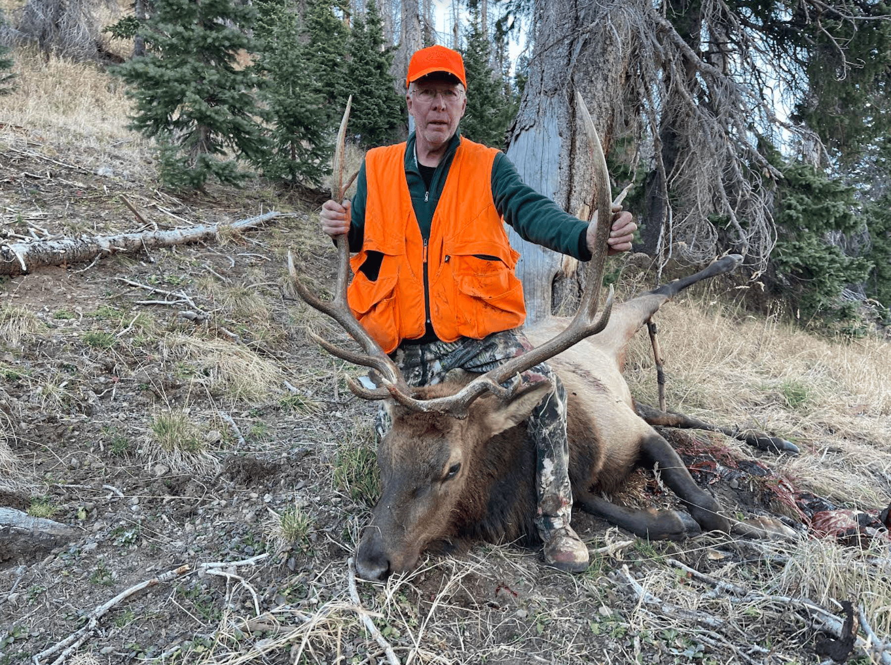 Cherokee T.P. Outfitters Guided Hunts in Jasper, Colorado - Mallard Bay
